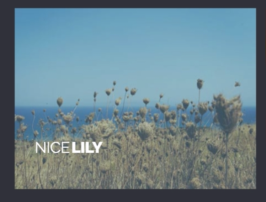 Hover Effect Ideas | Set 1 - Awwwards