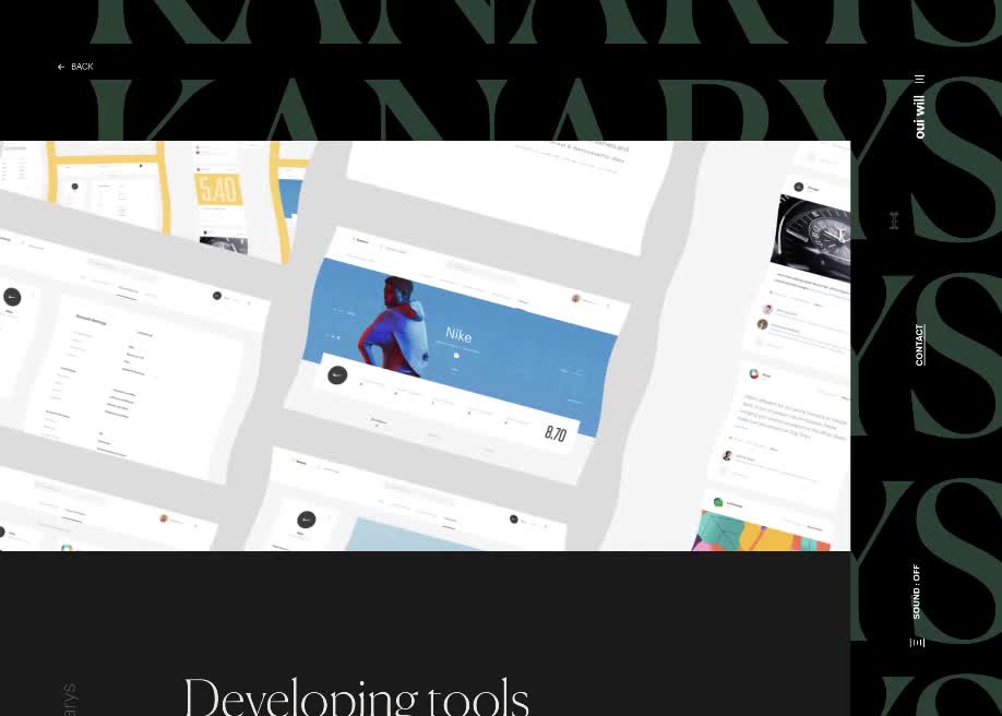 Project Page Display - Disrupt - Project Page - Awwwards