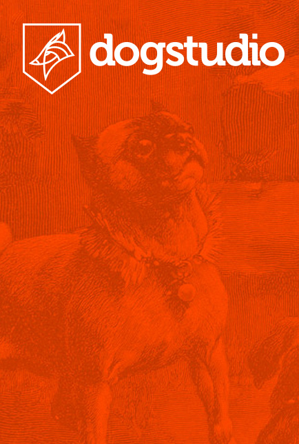 Interview with Henry Daubrez, Creative Art Director of Dogstudio