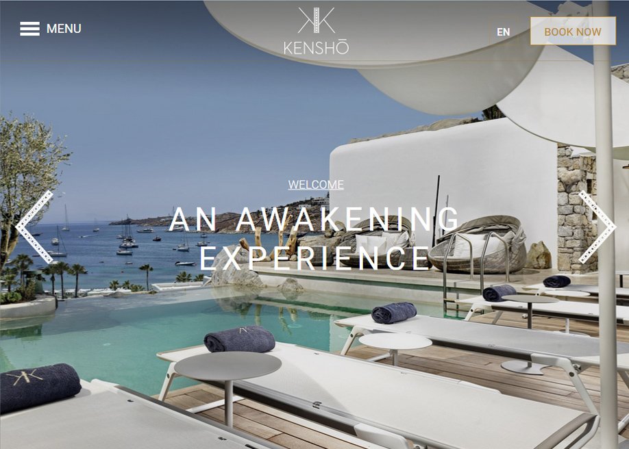 WebOlution - Awwwards