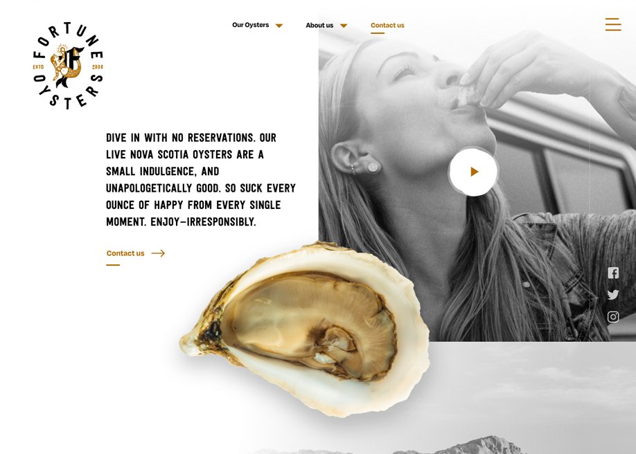 Zero Circle - Awwwards Nominee