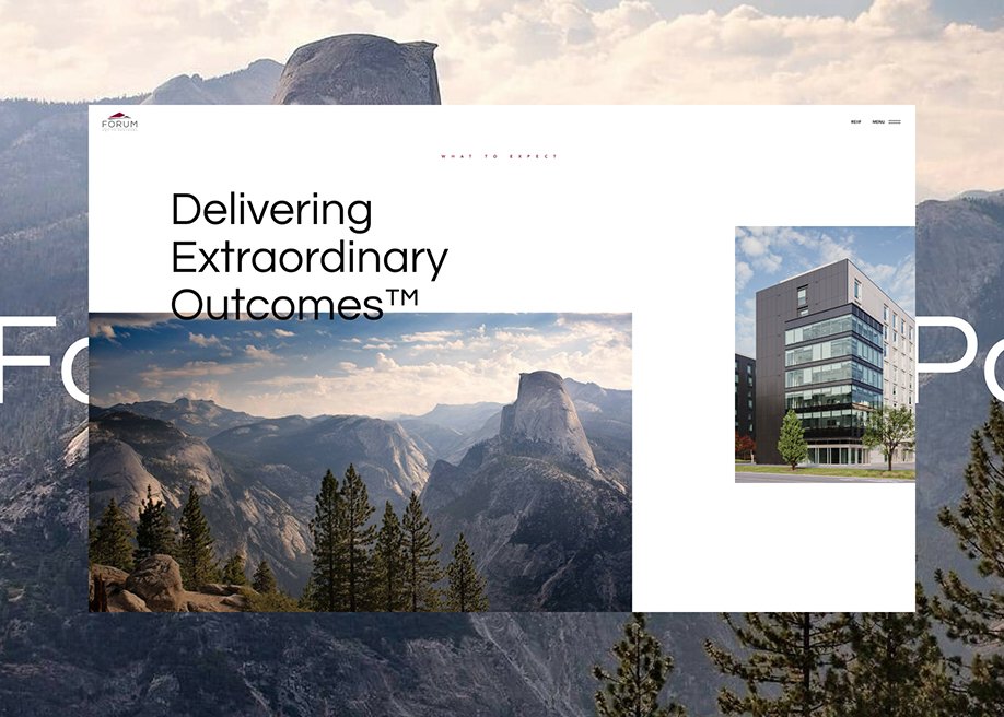 The Market Line - Awwwards Nominee