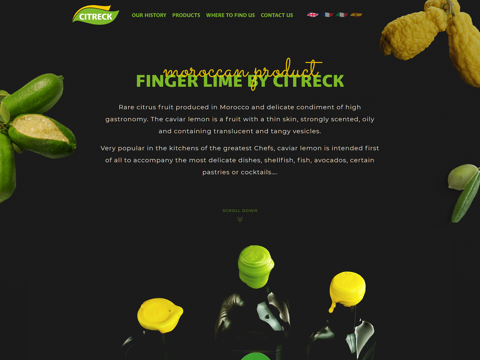 Best Web Fonts Websites | Web Design Inspiration