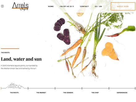 Examples of Texture in Web Design | Inspiration