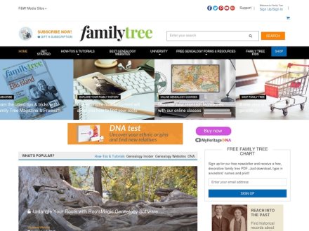 Web Development - Awwwards Directory