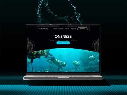 Best Fashion websites | Web Design Inspiration