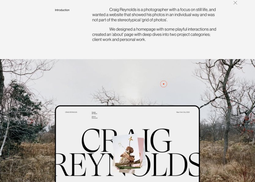 Project Page - Awwwards