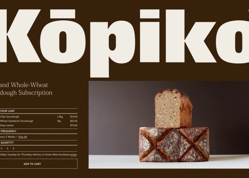 Typography Basics: Terminology, Examples, and Infographics - Articles ...