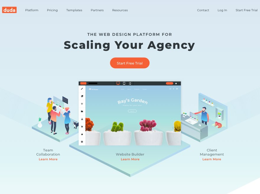 Websites Design: Trends and Examples