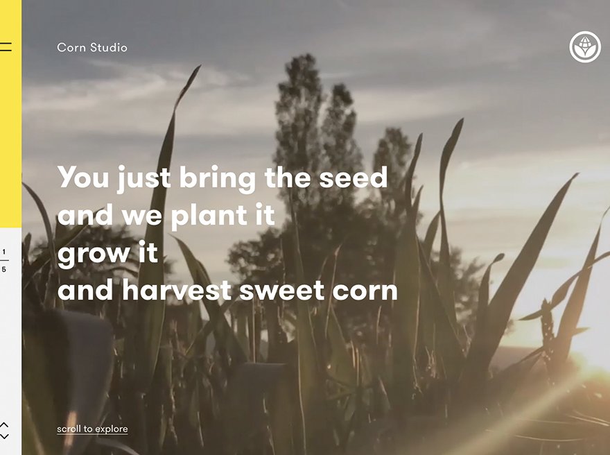 Strictly Studio - Awwwards