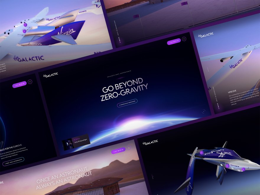 dogstudio - Awwwards