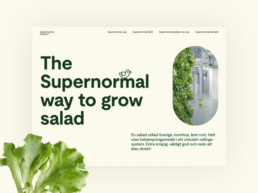 Best Experimental Websites | Web Design Inspiration