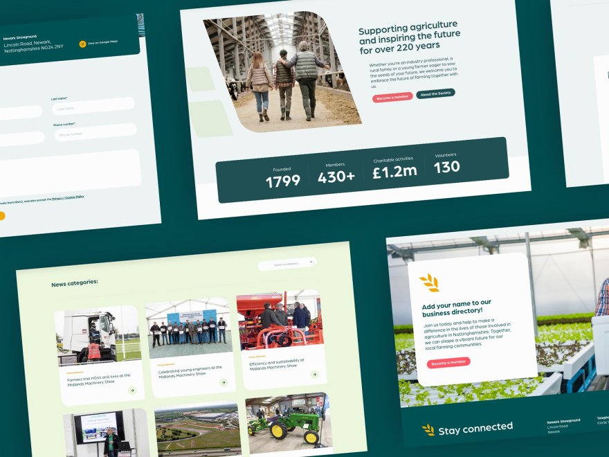 Best Minimal Websites | Web Design Inspiration