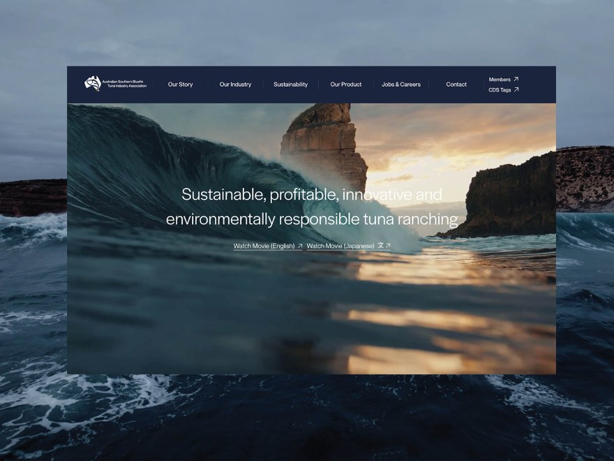 Best Fullscreen Websites | Web Design Inspiration