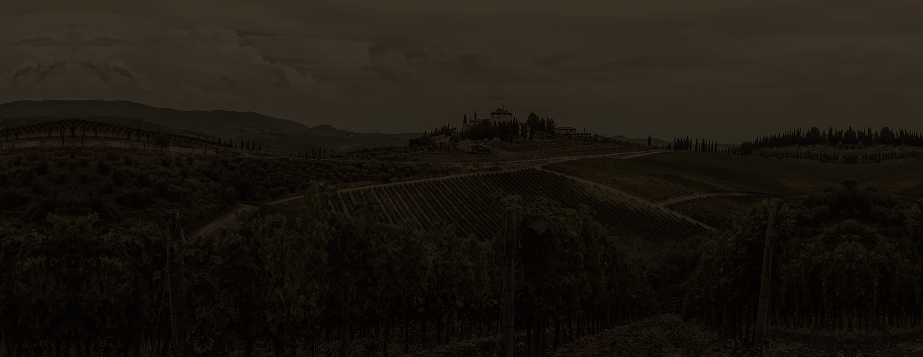 Cecchi - Awwwards SOTD