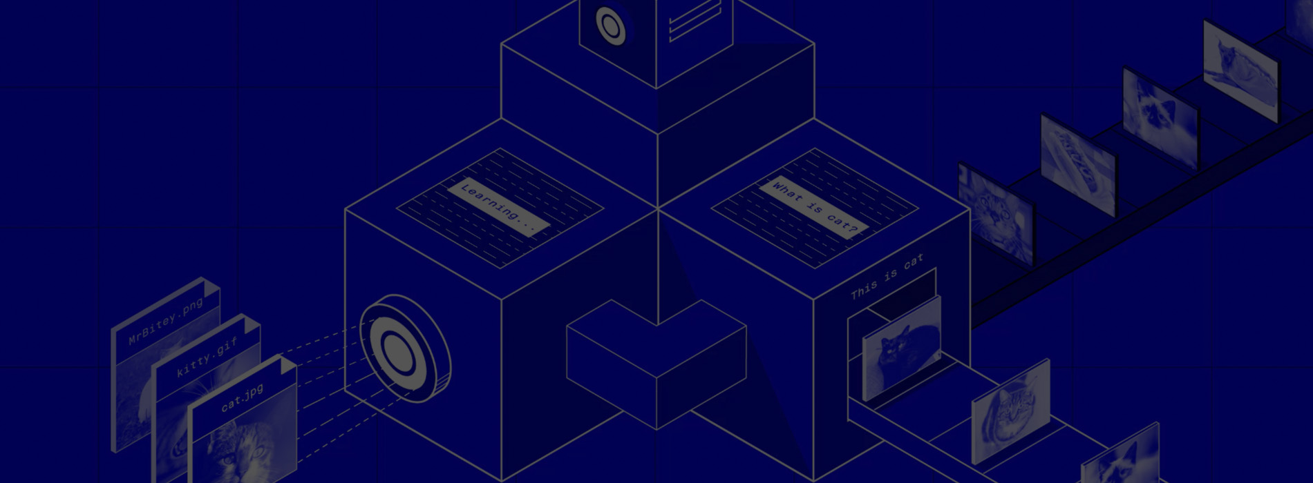 WTF is Data Science? - Awwwards SOTD