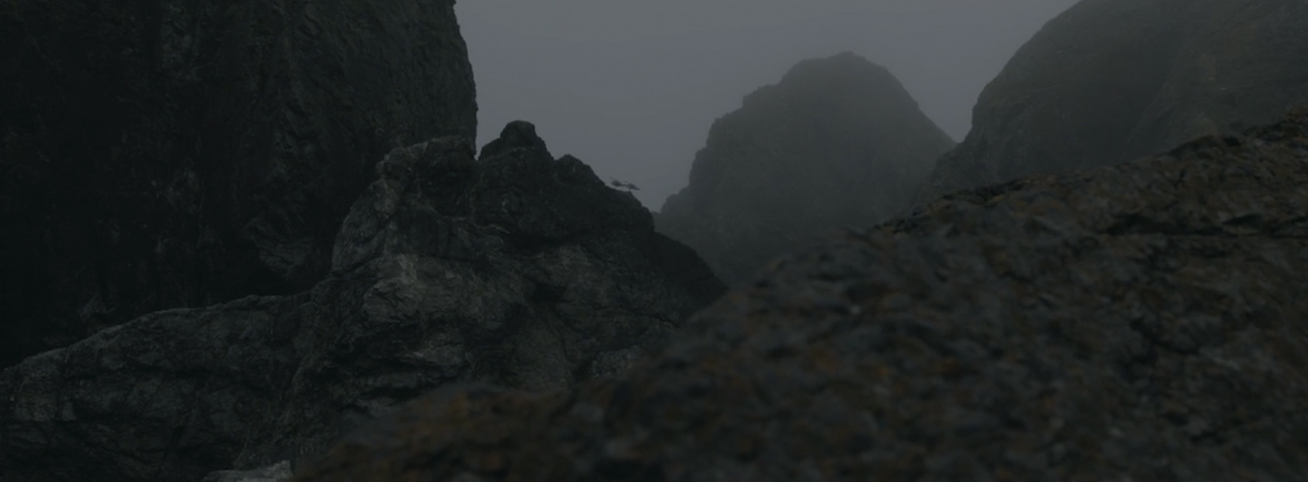 Sage Culture - Awwwards SOTD