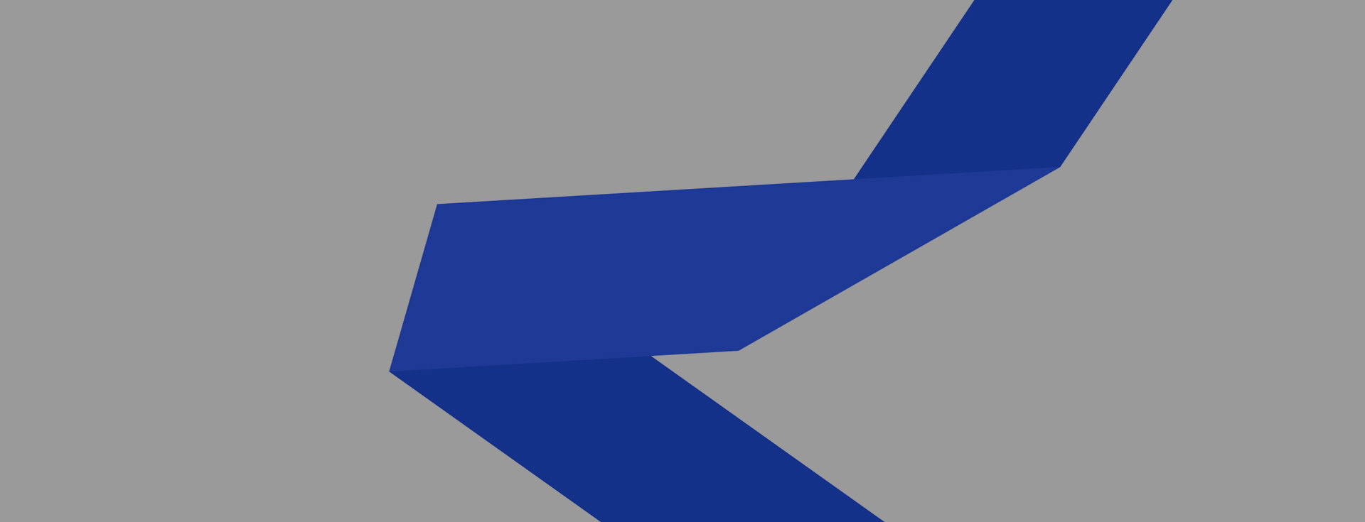 RALLY - Awwwards SOTD