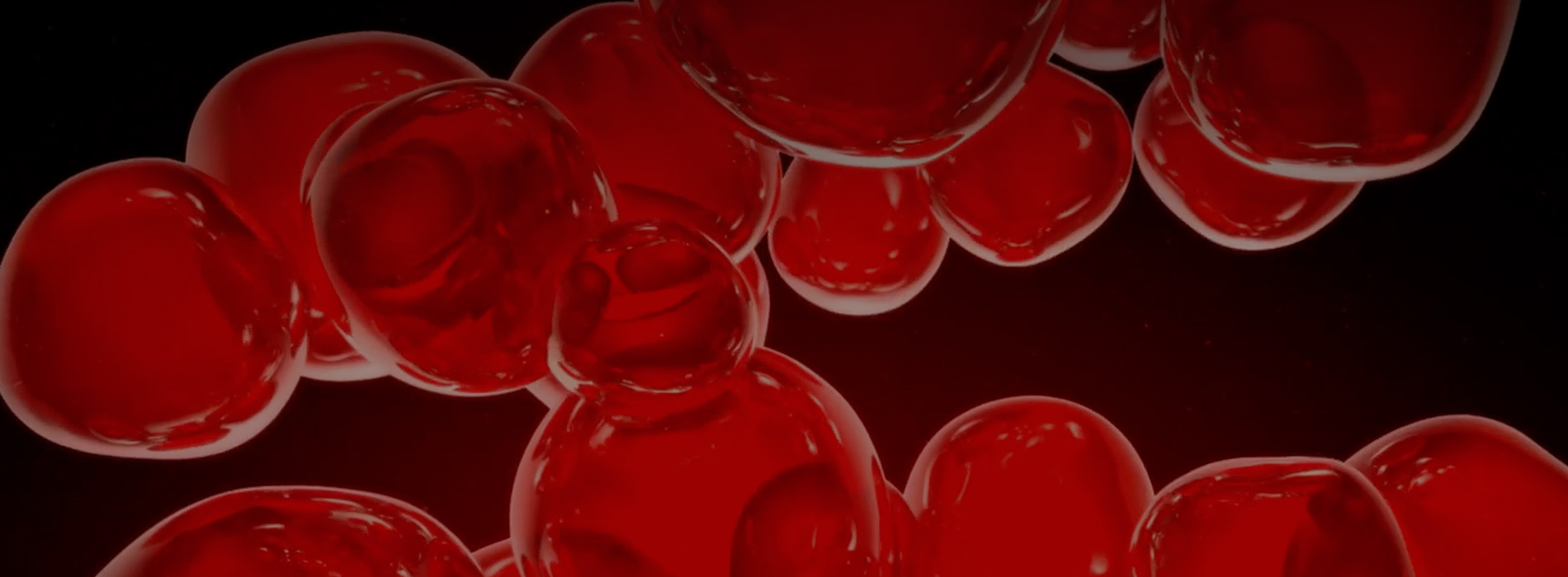 Fossula - Awwwards SOTD