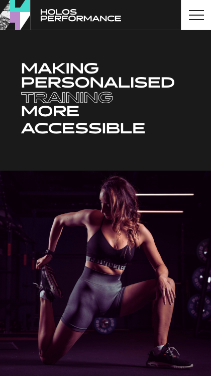 Holos Performance - Mobile Report