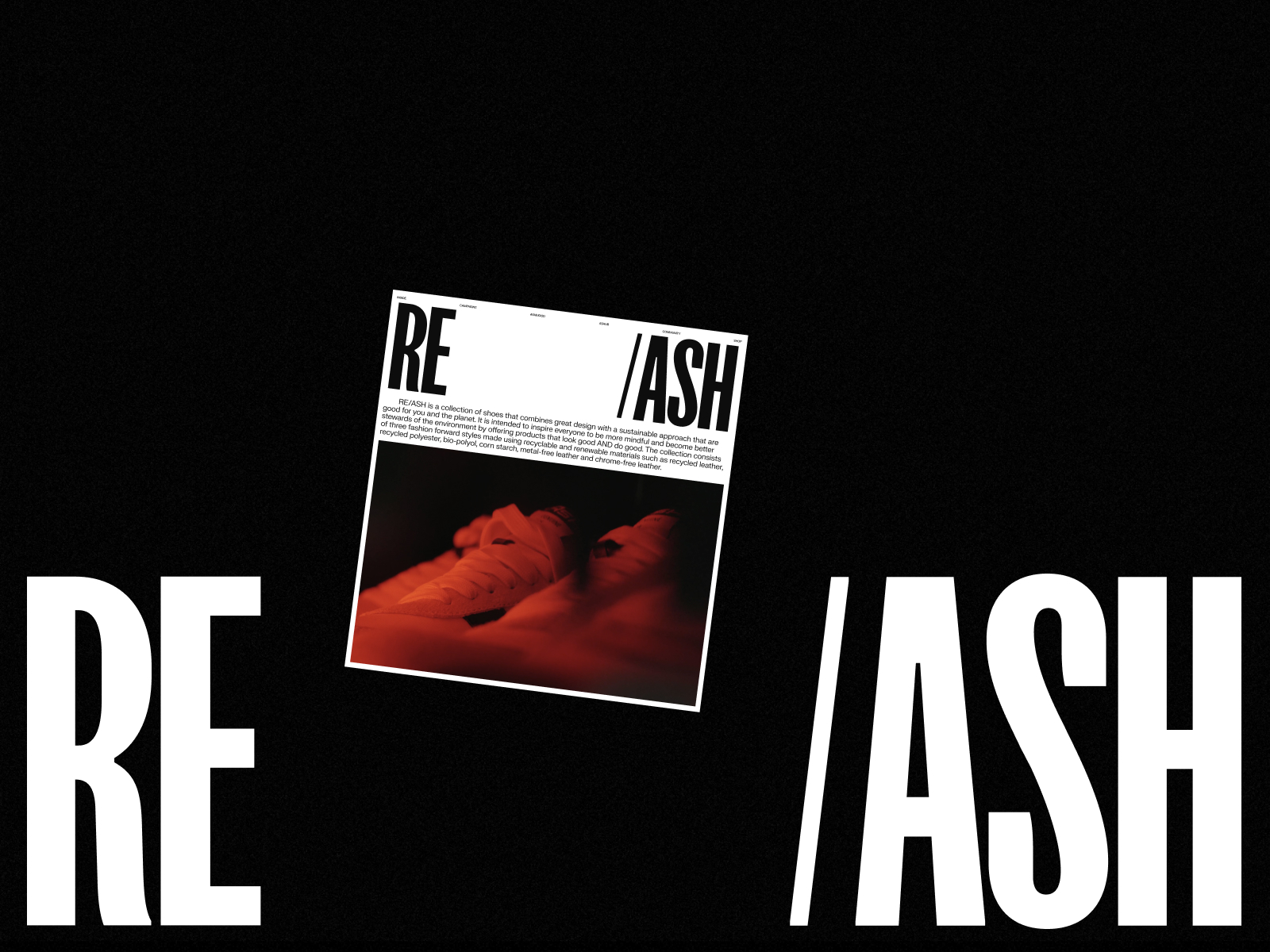 Ash Shoes Logo