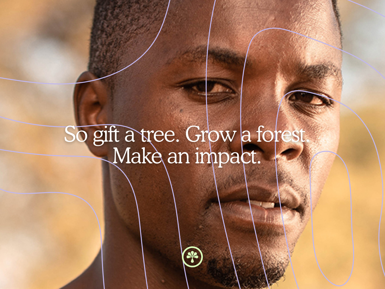 treebytree - Awwwards SOTD